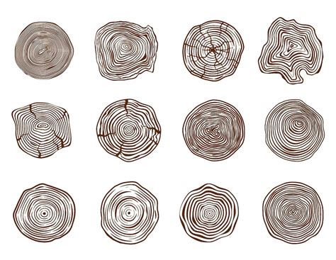 Premium Vector Pine Log Cut Forest Tree Rings Natural Sawn And Trunk