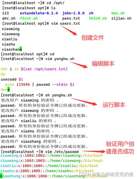 细讲shell中的循环语句 For、while、untilshell Forsi循环 Csdn博客