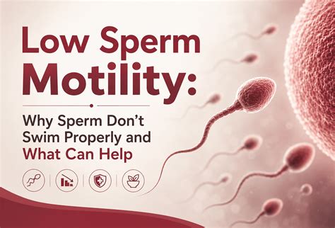 Low Sperm Motility Treatment For Better Fertility Ivf Centre In Delhi