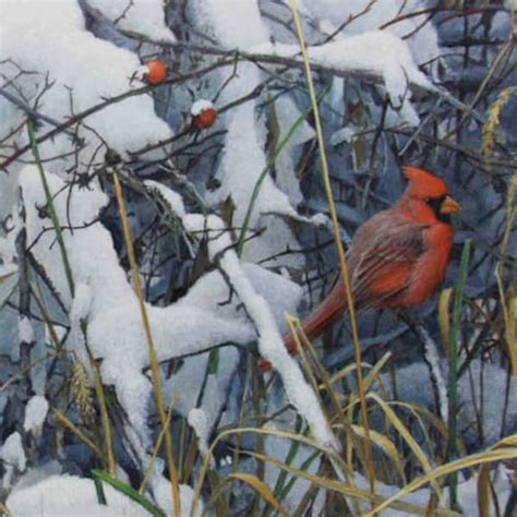 Robert Bateman Bird Print Etsy