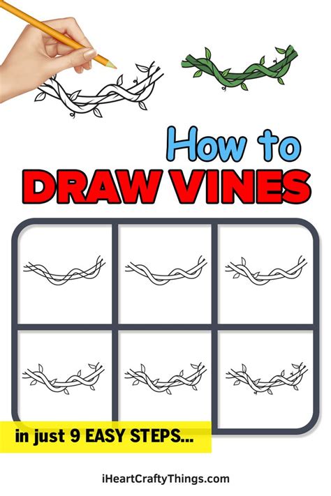 How To Draw Vines A Step By Step Guide Vine Drawing Beginner Drawing Lessons Easy Doodles