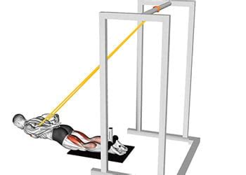 Nordic Hamstring Curl avec élastique Comment et Pourquoi faire le