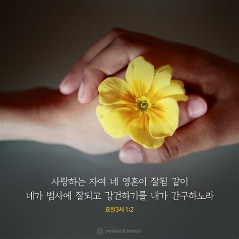 Yes Lord [ 말씀묵상] “사랑하는 자여 네 영혼이 잘됨 같이 네가 범사에 잘되고 강건하기를