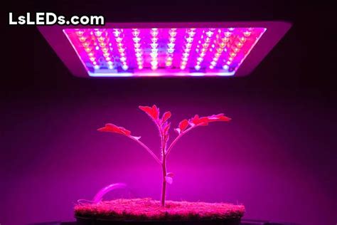 HPS To LED Equivalent Chart Lsleds HPS To LED Equivalent Chart Lsleds