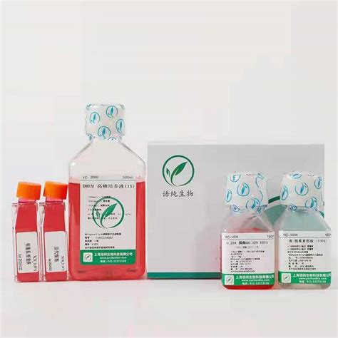 小鼠三叉神经星形胶质细胞