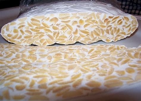 Cara Membuat Tempe Dari Biji Nangka Caranya Adalah Sebagai Berikut