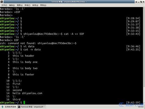 Linux操作命令二 蓝桥云课
