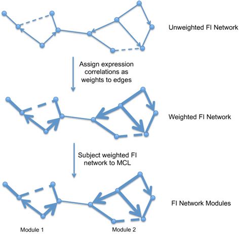 Schematic Workflow For Network Module Searching Based On Gene Download Scientific Diagram