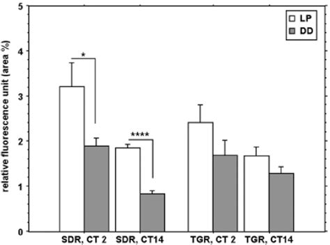 Spontaneous And Light Induced Expression Of C Fos Mrna In The Scn Of Download Scientific