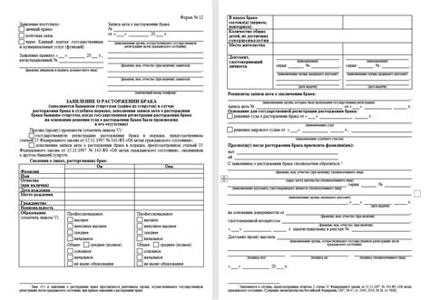 Заявление на развод 2025 образец бланк как правильно написать и подать