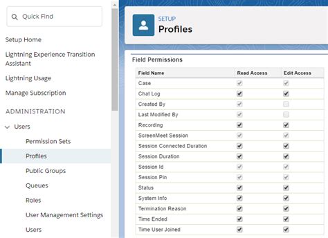 Object Field And Connected App Permissions Salesforce Integration 1