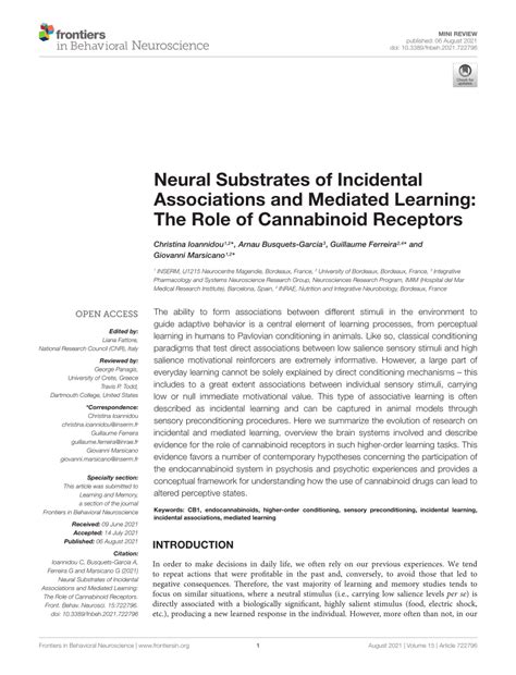 Pdf Neural Substrates Of Incidental Associations And Mediated Learning The Role Of