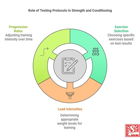 Effective Testing Protocols In Strength And Conditioning Instruction Skillmaker