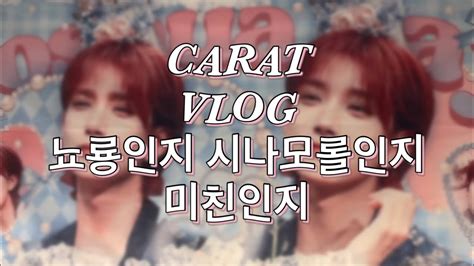 캐럿로그 슈아 생카 뇨룡시나모롤핑크슈아의 축복 Youtube