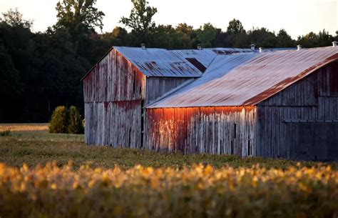 The Ultimate Guide To Barn Roofs Types Materials And History