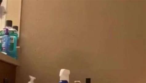 Instagram Live TNAFlix Porn Videos