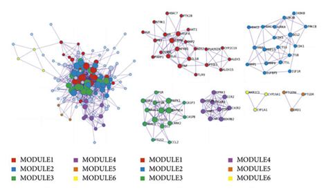 The Top 6 Gene Clusters In The Enrichment Mcode Analysis Download Scientific Diagram