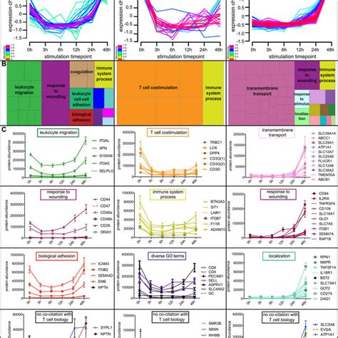 Unsupervised Clustering And Expression Profiles Of The Cell Surface Download Scientific Diagram