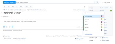 Manage Custom Fields Youtrack Server