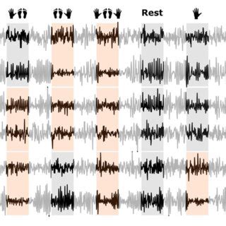 Effect Of Spatial Common Spatial Pattern CSP Filtering The Graph Download Scientific