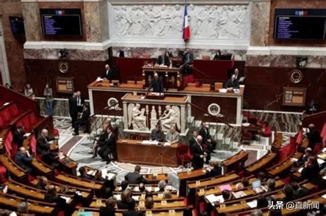 法国议会选举正式结果出炉 执政党联盟占据相对多数席位 今日头条