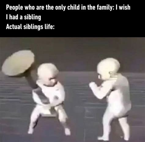 Best 11 50 Hilarious Sibling Memes From Fights To Fun Artofit