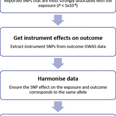 Workflow For Performing Two Sample Mr Analysis Summary Gwas Data