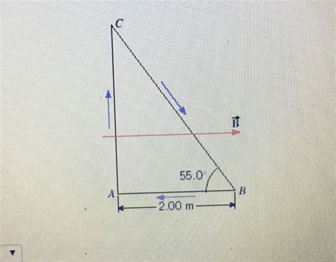 Solved The Triangular Loop Of Why Are Shown In The Drawing Chegg Com