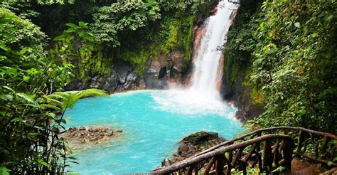 La Fortuna Rio Celeste Full Day Tour Getyourguide