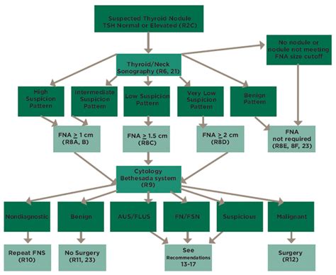 Updated Thyroid Nodule Guidelines Give Recommendations On Diagnosis