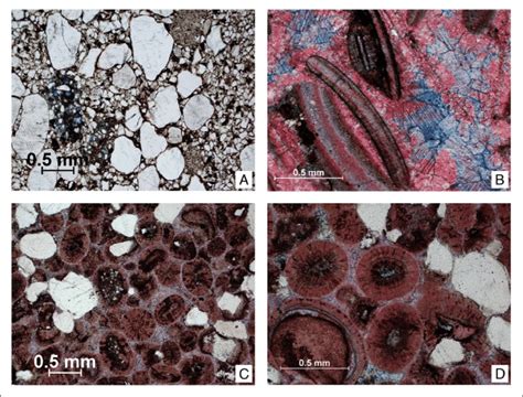 Oolitic Quartz At Jackson Ribush Blog