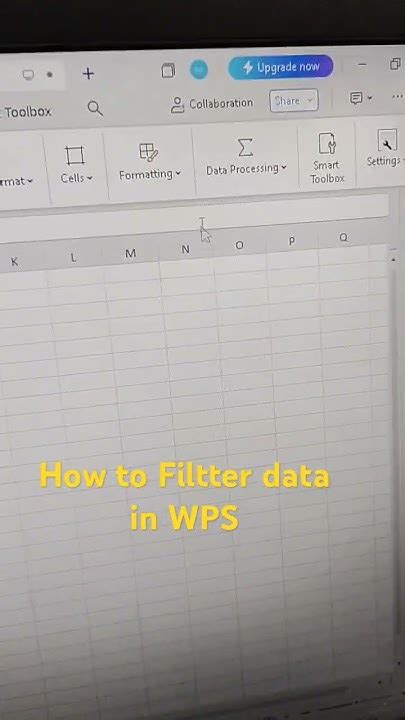 How To Filter Data In Wps Excel Sheet Wpsoffice Datafiltering