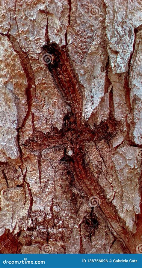 Dry Texture Stock Illustration Illustration Of Jewerly