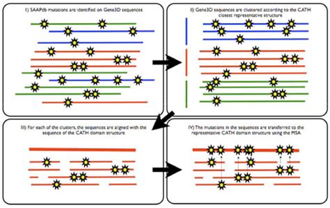 The Mapping Pipeline Illustration Of The Mapping Process Between Download Scientific Diagram