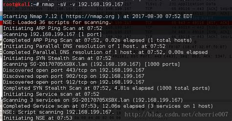 Nmap学习笔记cherrie007的博客 Csdn博客 Nmap学习笔记cherrie007的博客 Csdn博客