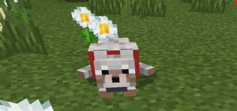 Search Results For Animation Mcpedl