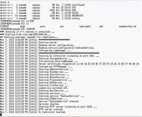 Sap Sum Software Update Manager 10 Sp9 Sap Is Easy And Easy