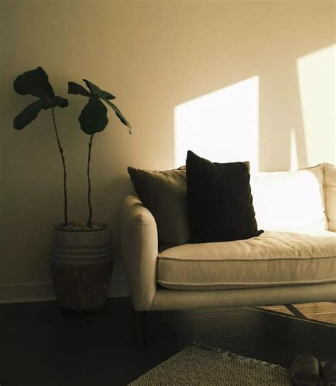 Chris Classic Fujifilm Simulations