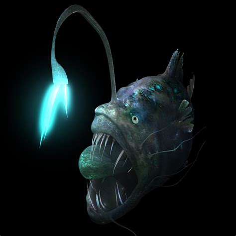 灯笼鱼 模型材质 灯光贴图 绑定动画模型 鱼类模型库 Maya Ma Mb 模型下载 Cg模型网