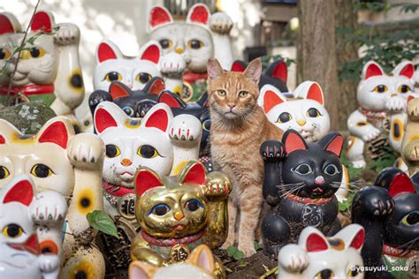 ﻿yy 4 1 Ь Я He Ш L Tj ч И№уЗДИ 1 ‘ I V I Æ Vv Jk л 4 V T Æ Hk