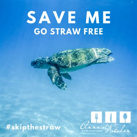 Annas Kitchen 🐳 National Skip The Straw Day🐳 In Honour