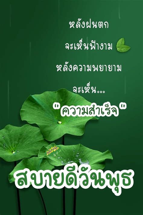 ปักพินโดย Apple ใน คำคม คําคมคิดบวก สวัสดีตอนเช้า สุขสันต์วันอาทิตย์