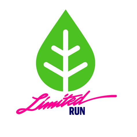 Catnip Seedlings Quality Plants And Seedlings