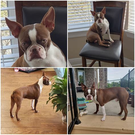 Wilbert Charles Jr Yo Woman ‘ Life Forwarded Into You Still Being