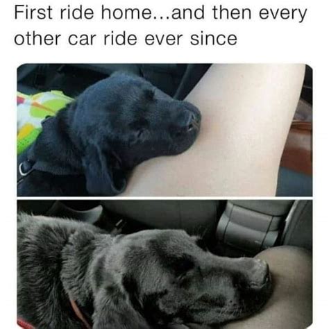 It Seems Like Only Yesterday 💝 R Wholesomememes