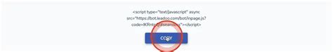 How To Embed Leadoo Bots Leadoo Conversion Platform