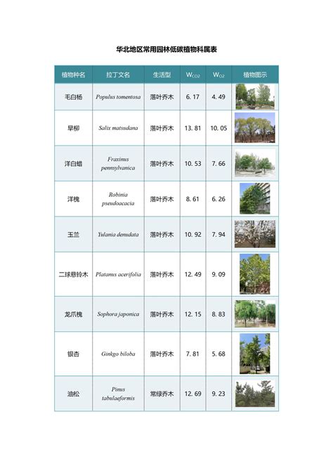 低碳植物科属表 低碳数字植物园