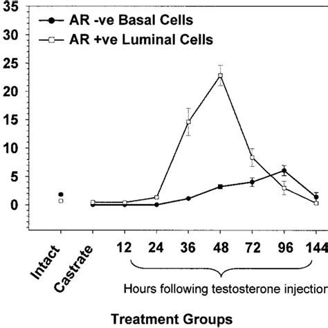 Proliferation Of Basal And Luminal Cells Of The Mouse Ventral Prostate