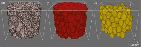 Zro 2 Cntni Foam A Individualized Void Cells In Red B And Void