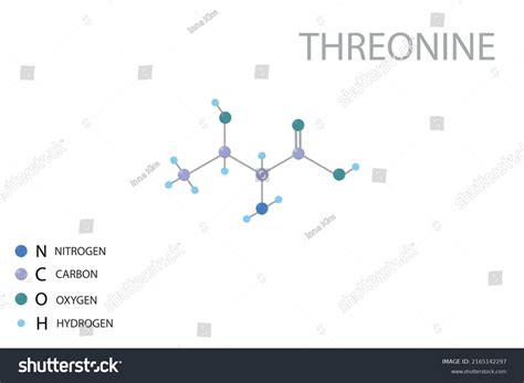 Threonine Molecular Skeletal 3d Chemical Formula Stock Vector Royalty